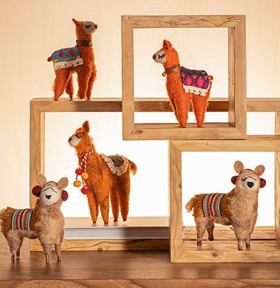 Camicado, casa com seu estilo. - Camicado